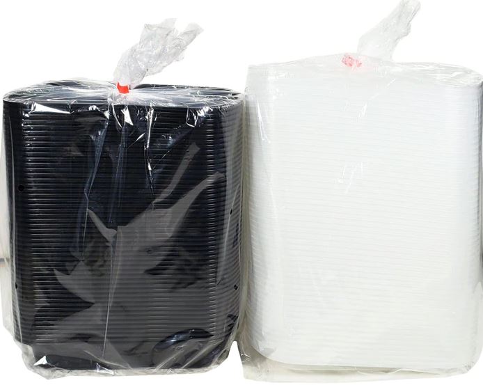 Rectangle Plastic Container – Econo Wholesale