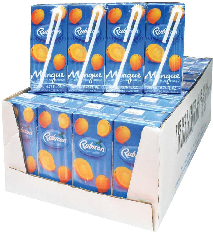 Juice Mango Carton – Econo Wholesale
