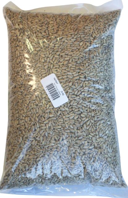 Flower Seeds – Econo Wholesale